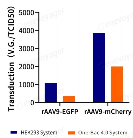 专利技术及优势-大规模AAV载体CDMO-AAV/ 亚单位疫苗 CDMO服务