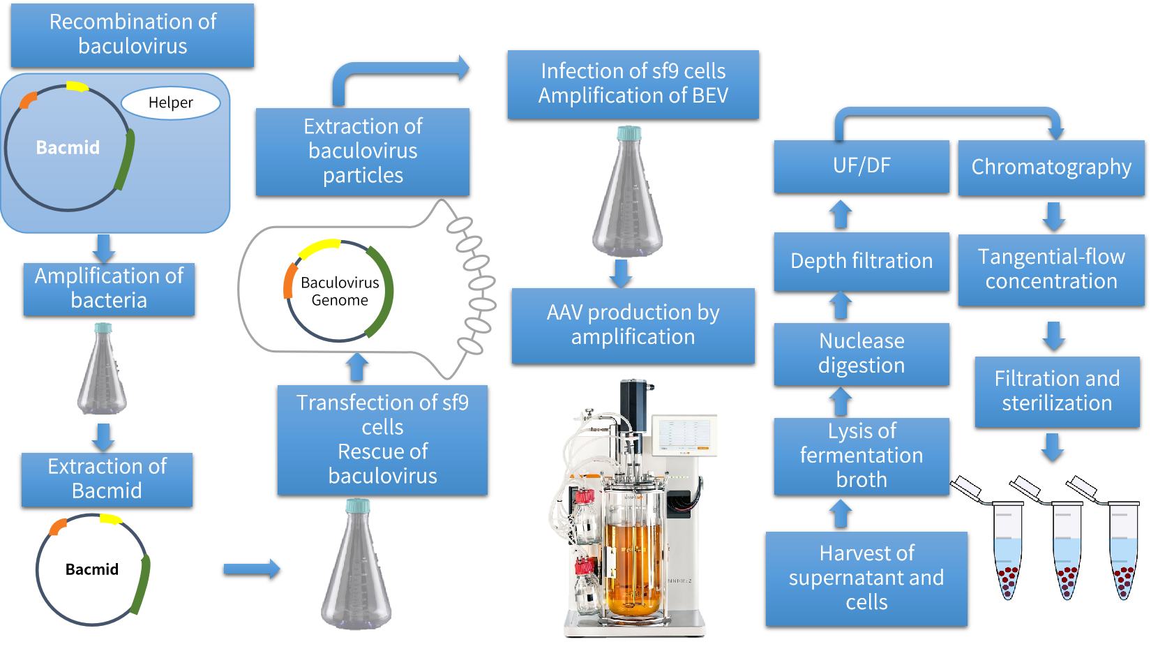 AAV GMP Production-AAV CDMO Service-CDMO Service
