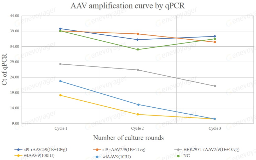 专利技术及优势-大规模AAV载体CDMO-AAV/ 亚单位疫苗 CDMO服务